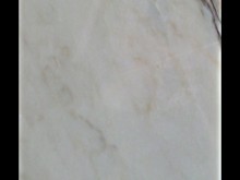 Mármore Estremoz - Plurimármores